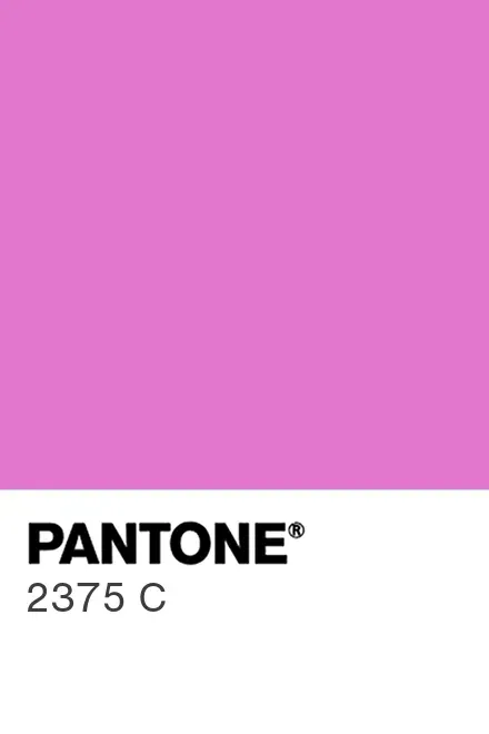 PANTONE® España | PANTONE® 2375 C - Find a Pantone Color | Quick Online ... PANTONE® España | PANTONE® 2375 C - Find a Pantone Color | Quick Online ...