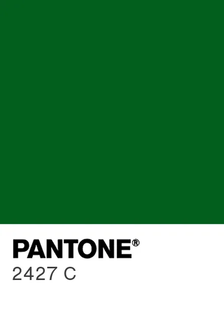 PANTONE® USA | PANTONE® 2427 C - Find a Pantone Color | Quick Online ... PANTONE® USA | PANTONE® 2427 C - Find a Pantone Color | Quick Online ...