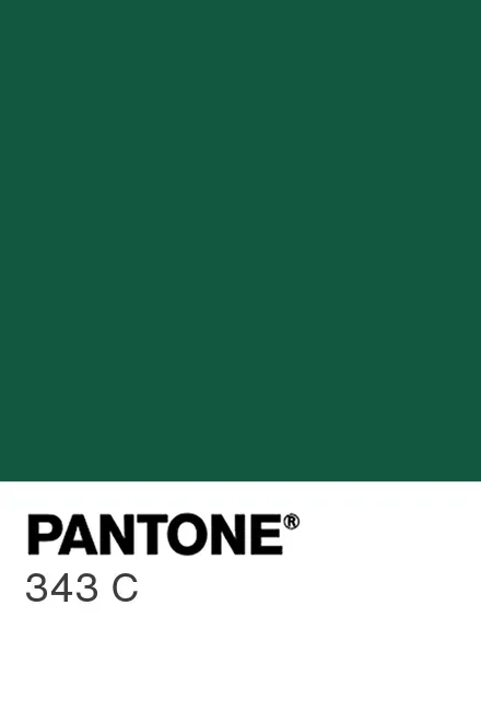 PANTONE® USA | PANTONE® 343 C - Find a Pantone Color | Quick Online ... PANTONE® USA | PANTONE® 343 C - Find a Pantone Color | Quick Online ...