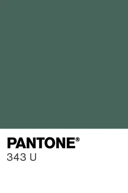 PANTONE® Europe | PANTONE® 343 U - Find a Pantone Color | Quick Online ... PANTONE® Europe | PANTONE® 343 U - Find a Pantone Color | Quick Online ...