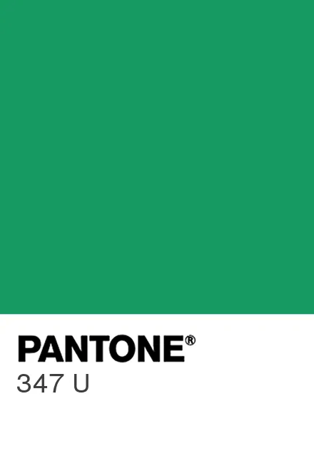 PANTONE® Italia | PANTONE® 347 U - Find a Pantone Color | Quick Online ... PANTONE® Italia | PANTONE® 347 U - Find a Pantone Color | Quick Online ...