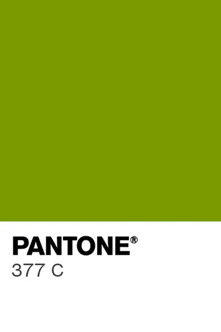 PANTONE® USA | PANTONE® 377 C - Find a Pantone Color | Quick Online ... PANTONE® USA | PANTONE® 377 C - Find a Pantone Color | Quick Online ...