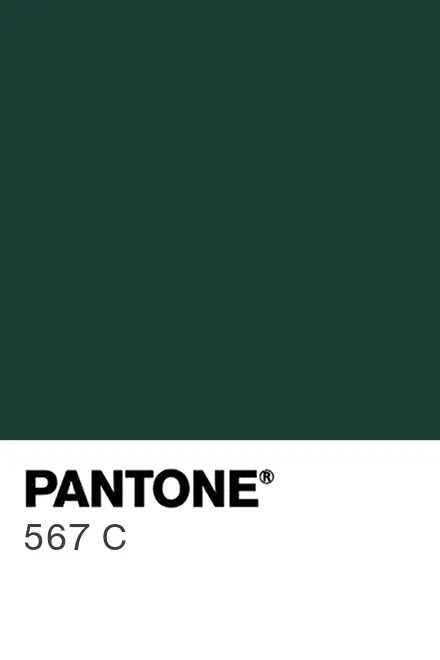 PANTONE® USA | PANTONE® 567 C - Find a Pantone Color | Quick Online ... PANTONE® USA | PANTONE® 567 C - Find a Pantone Color | Quick Online ...