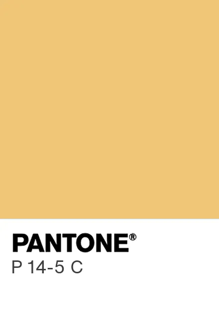 PANTONE® Italia | PANTONE® P 14-5 C - Find a Pantone Color | Quick ... PANTONE® Italia | PANTONE® P 14-5 C - Find a Pantone Color | Quick ...