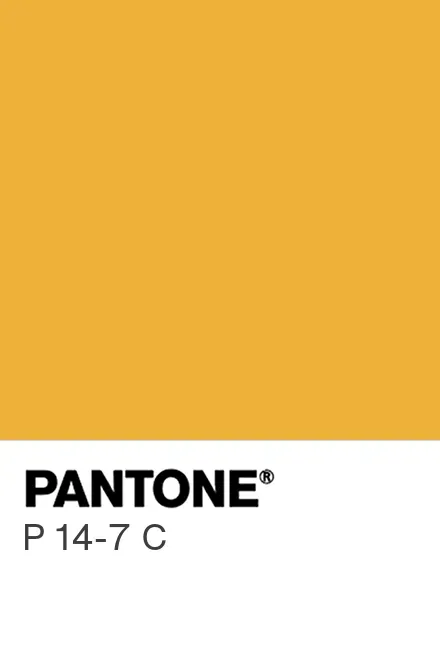 PANTONE® UK | PANTONE® P 14-7 C - Find a Pantone Color | Quick Online ... PANTONE® UK | PANTONE® P 14-7 C - Find a Pantone Color | Quick Online ...