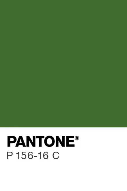 PANTONE® USA | PANTONE® P 156-16 C - Find a Pantone Color | Quick ... PANTONE® USA | PANTONE® P 156-16 C - Find a Pantone Color | Quick ...