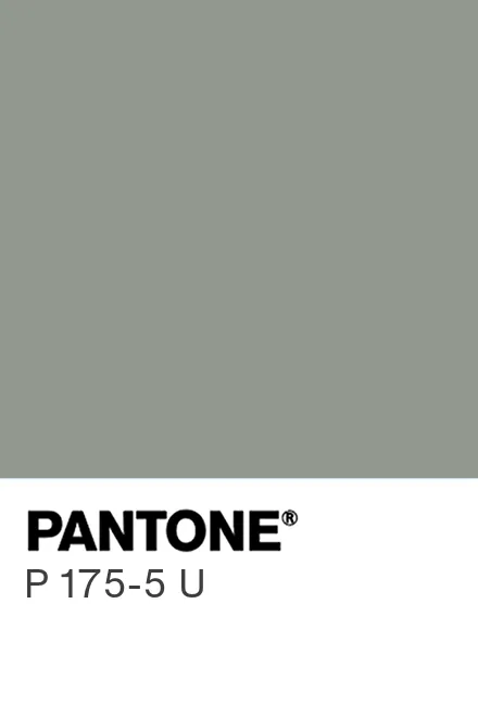 彩通亞太區 | PANTONE® P 175-5 U - Find a Pantone Color | Quick Online Color Tool 彩通亞太區 | PANTONE® P 175-5 U - Find a Pantone Color | Quick Online Color Tool