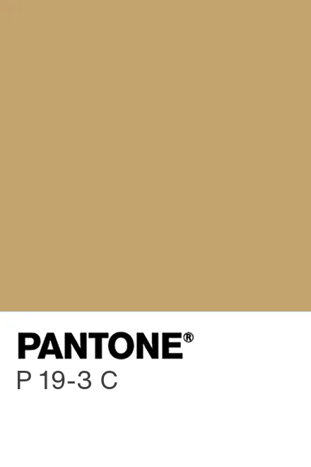 PANTONE® USA | PANTONE® P 19-3 C - Find a Pantone Color | Quick Online ... PANTONE® USA | PANTONE® P 19-3 C - Find a Pantone Color | Quick Online ...