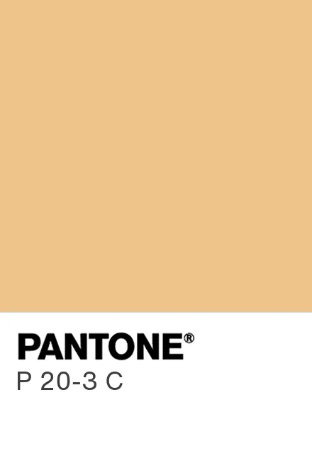 PANTONE® USA | PANTONE® P 20-3 C - Find a Pantone Color | Quick Online ... PANTONE® USA | PANTONE® P 20-3 C - Find a Pantone Color | Quick Online ...