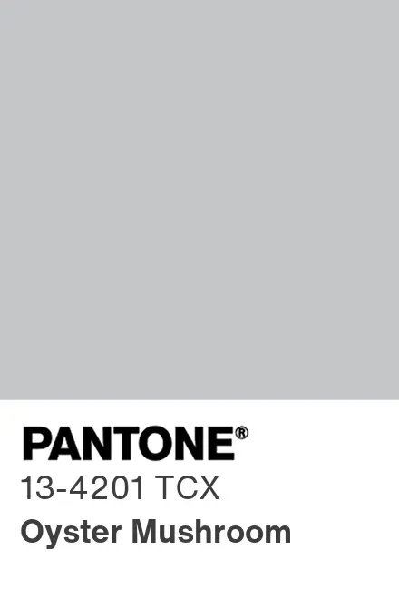 Pantone Oyster Mushroom Pantone Color, Pantone Colour, 43% OFF Pantone Oyster Mushroom Pantone Color, Pantone Colour, 43% OFF