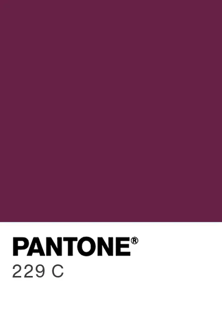 PANTONE® USA | PANTONE® 229 C - Find a Pantone Color | Quick Online ... PANTONE® USA | PANTONE® 229 C - Find a Pantone Color | Quick Online ...