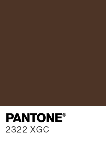PANTONE® Deutschland | PANTONE® 2322 XGC - Find a Pantone Color | Quick ... PANTONE® Deutschland | PANTONE® 2322 XGC - Find a Pantone Color | Quick ...