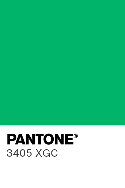 PANTONE® Deutschland | PANTONE® 3405 XGC - Find a Pantone Color | Quick ... PANTONE® Deutschland | PANTONE® 3405 XGC - Find a Pantone Color | Quick ...