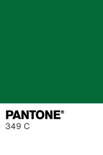 PANTONE® USA | PANTONE® 349 C - Find a Pantone Color | Quick Online ... PANTONE® USA | PANTONE® 349 C - Find a Pantone Color | Quick Online ...