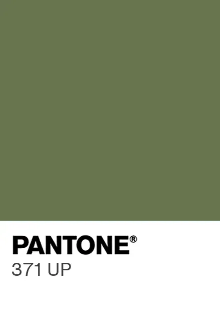 PANTONE® USA | PANTONE® 371 UP - Find a Pantone Color | Quick Online ... PANTONE® USA | PANTONE® 371 UP - Find a Pantone Color | Quick Online ...