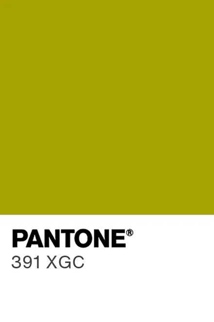PANTONE® Deutschland | PANTONE® 391 XGC - Find a Pantone Color | Quick ... PANTONE® Deutschland | PANTONE® 391 XGC - Find a Pantone Color | Quick ...