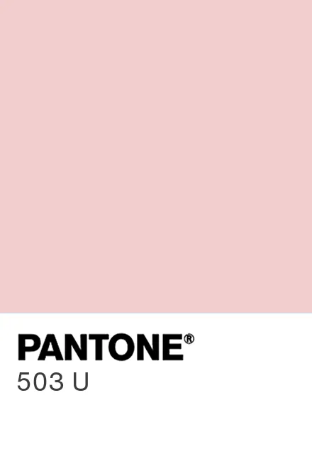 PANTONE® USA | PANTONE® 503 U - Find a Pantone Color | Quick Online ... PANTONE® USA | PANTONE® 503 U - Find a Pantone Color | Quick Online ...