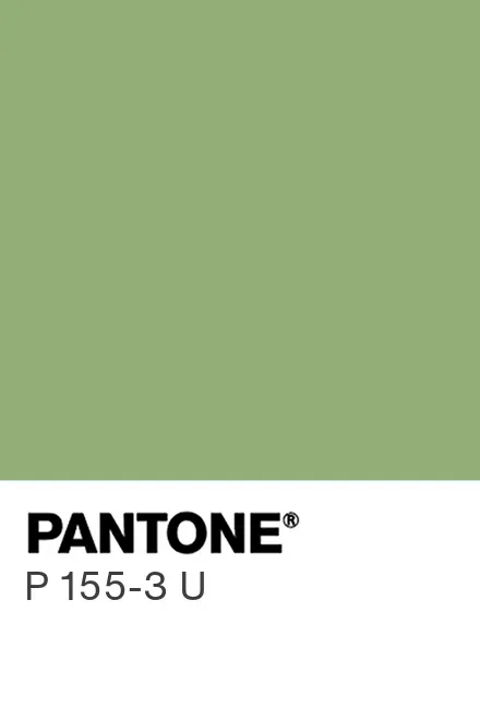 PANTONE® USA | PANTONE® P 155-3 U - Find a Pantone Color | Quick Online ... PANTONE® USA | PANTONE® P 155-3 U - Find a Pantone Color | Quick Online ...