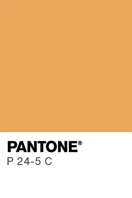 PANTONE® USA | PANTONE® P 24-5 C - Find a Pantone Color | Quick Online ... PANTONE® USA | PANTONE® P 24-5 C - Find a Pantone Color | Quick Online ...