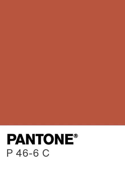 PANTONE® USA | PANTONE® P 46-6 C - Find a Pantone Color | Quick Online ... PANTONE® USA | PANTONE® P 46-6 C - Find a Pantone Color | Quick Online ...