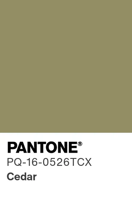 PANTONE® France | PANTONE® PQ-16-0526TCX - Find a Pantone Color | Quick ... PANTONE® France | PANTONE® PQ-16-0526TCX - Find a Pantone Color | Quick ...