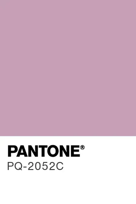 PANTONE® Deutschland | PANTONE® PQ-2052C - Find a Pantone Color | Quick ... PANTONE® Deutschland | PANTONE® PQ-2052C - Find a Pantone Color | Quick ...